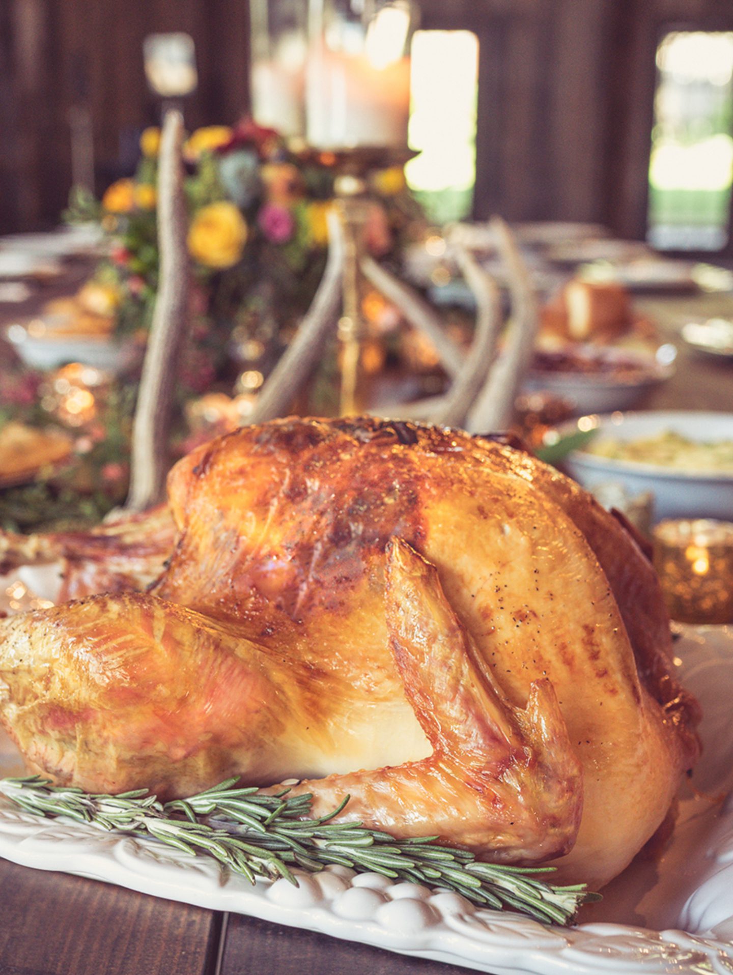 Fresh Whole Turkey - Shady Brook Farms®